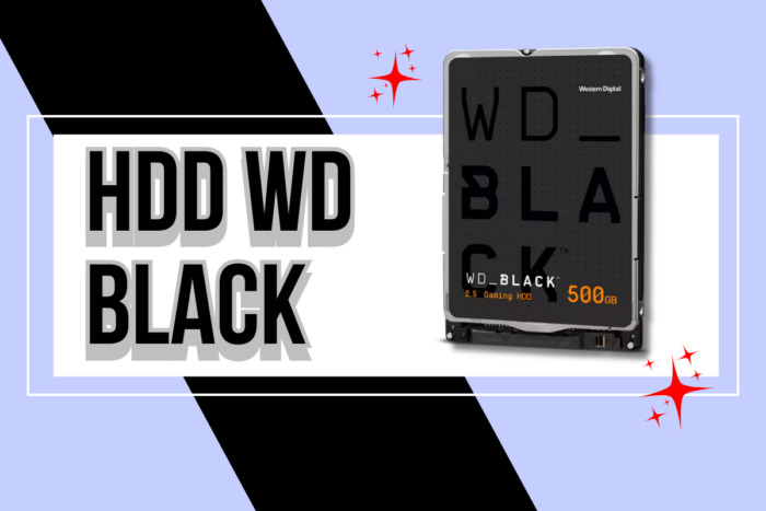 HDD WD แต่ละสีต่างกันยังไง เหมาะกับการใช้งานแบบไหน