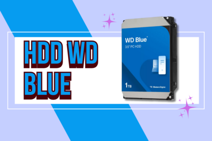 HDD WD แต่ละสีต่างกันยังไง เหมาะกับการใช้งานแบบไหน